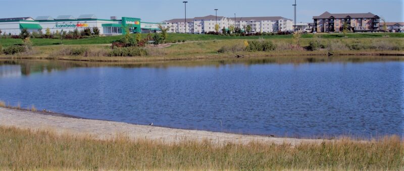 comunity Pond services | Martushev